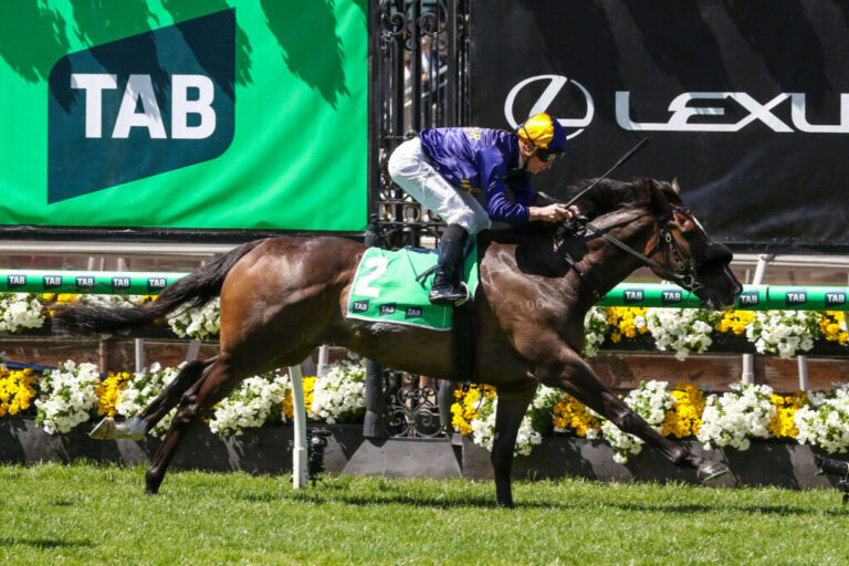 TabTouch Results by Meeting Race Results, Tab Racing & More