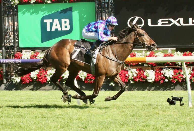 Today’s Race Results and Dividends | Latest Racing Updates